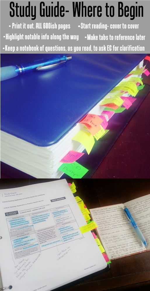 How to Prepare for the CPNE – Momma Maven